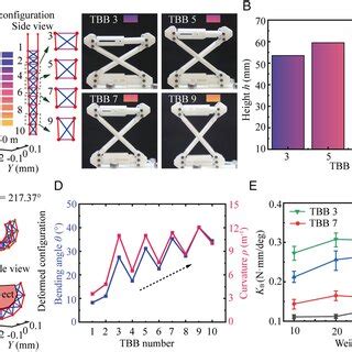 PDF In Situ Reconfigurable Continuum Robot With Varying Curvature Enabled By Programmable