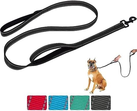 Maxpower Planet Heavy Duty Dog Leash 6ft Long With Double Traffic