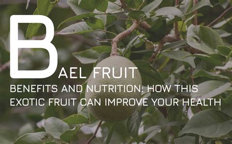 Bael Fruit Benefits And Nutrition How This Exotic Fruit Can Improve