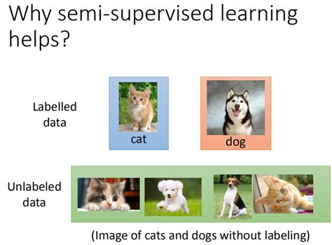 81 半监督学习semi Supervised Learning Csdn博客