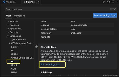 Mac 安装 Go Vscode Ide (完整版)mac Vscode Go Csdn博客 Mac 安装 Go Vscode Ide (完整版)mac Vscode Go Csdn博客