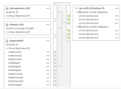 NSX V Lab Setup VDives