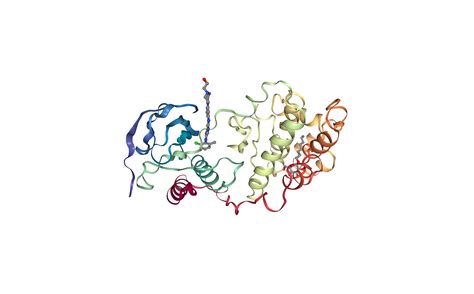 protein ligand docking tutorial using bioexcel building blocks biobb