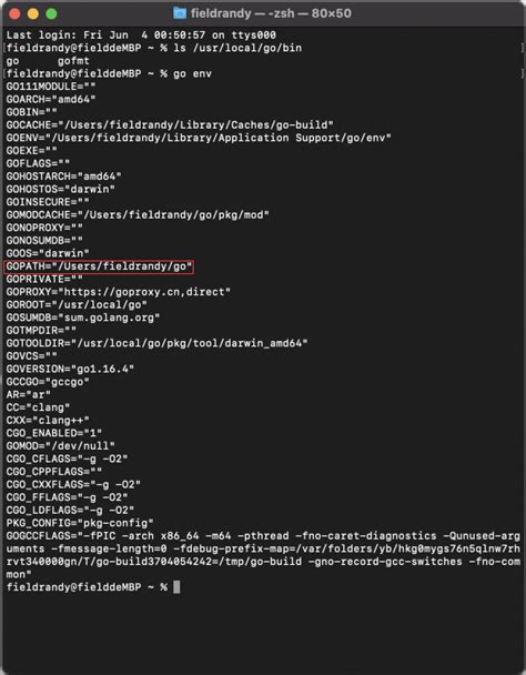 【golang】mac下配置go语言开发环境 Garfield 加菲的博客