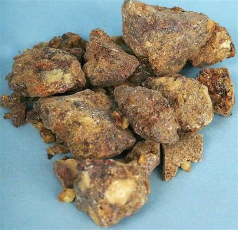 安息香的性状与作用