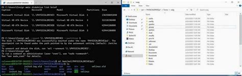 Как открыть раздел Linux Ext4 Ext3 Ext2 в Windows 11 и Windows 10
