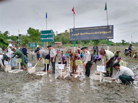 မြေပုံမြို့နယ်၌ မိုးရာသီ ဒီရေတောသစ်ပင်စိုက်ပျိုးပွဲတော်ကျင်းပ Information And Public Relations