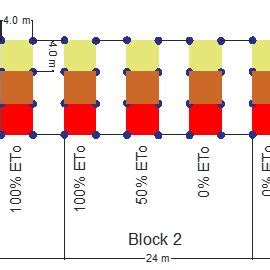 Sketch Of The Experimental Area Download Scientific Diagram