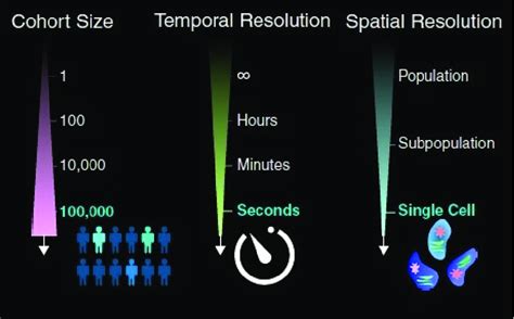 High Throughput Metabolomicscohort Size Spatial Resolution And