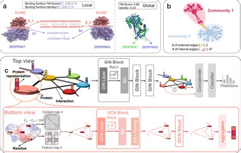 Schematic View Of The High Ppi Architecture Both The Protein Structure