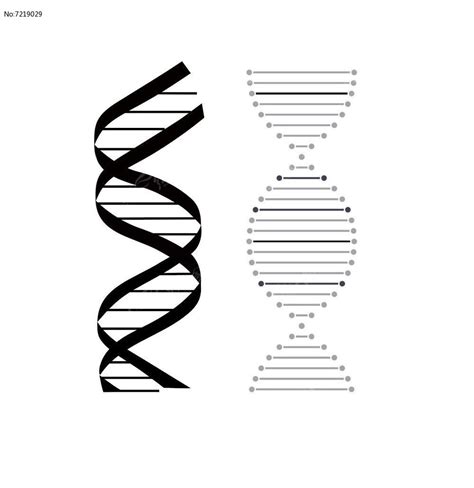 Dna双螺旋结构不同效果ai矢量图图片下载 红动中国