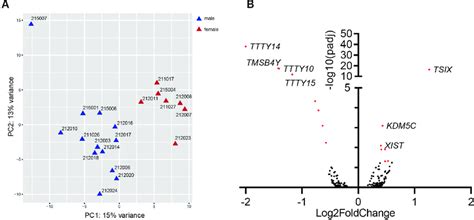 right ventricular outflow tract rna sequencing data a unsupervised download scientific