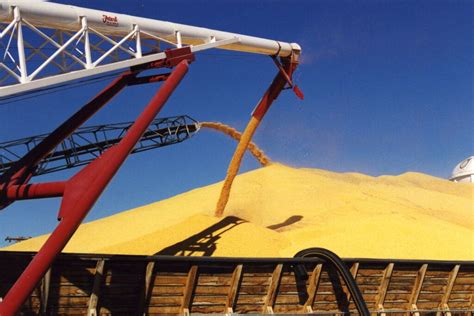 Model Predicts Above Trend Corn Soybean Yields Proag