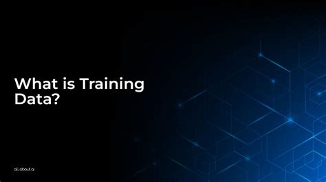 What Is Training Data All About AI