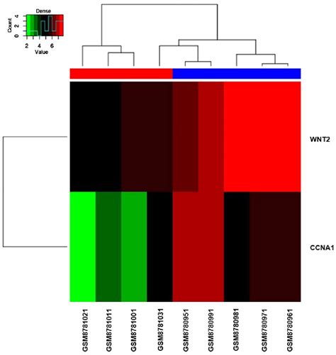 Heatmap Of Hub Genes Related To Op The Horizontal Axis Shows The Download Scientific Diagram