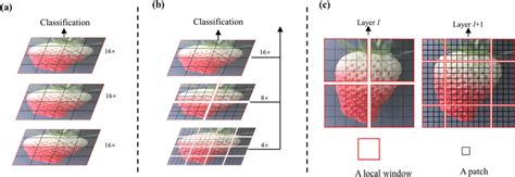 A The Feature Maps Of Previous Vit B The Hierarchical Feature Maps Download Scientific Diagram