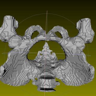 The Datasets Used In This Study A Surface Mesh Represents Real Download Scientific Diagram