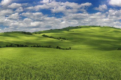 Field Grass Plain Free Photo On Pixabay Field Grass Plain Free Photo On Pixabay