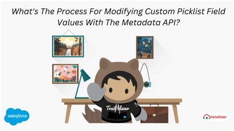 Whats The Process For Modifying Custom Picklist Field Values With The