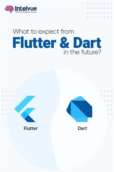 What Is The Future Of Flutter Or What Is The Future Of Dart Flutter App Development Process