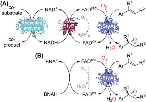 Smo Catalyzed Asymmetric Epoxidation Of Aromatic Alkenes A Download Scientific Diagram