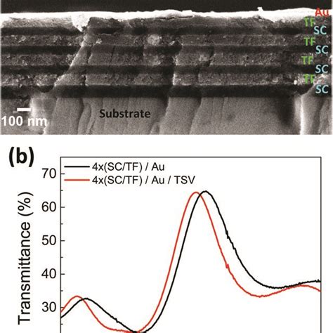 A Cross Sectional Sem Micrograph Of 4x Sc Tf Au Device B Download Scientific Diagram