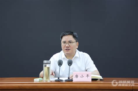 沙坪坝区委书记唐小平：从严从快坚决果断 全力以赴打赢疫情防控歼灭战凤凰网川渝凤凰网