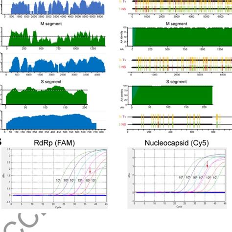 Maximum Likelihood Reconstruction Of The Orthobunyavirus Genus Download Scientific Diagram