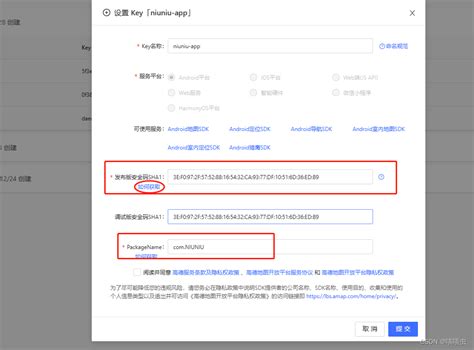 Uniappapp高德地图逆编码：app打包后unigetocation失效unigetlocation Type Gcj02