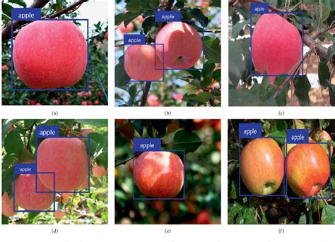 Figure 6 From An Apple Detection Method Based On Des Yolo V4 Algorithm For Harvesting Robots In