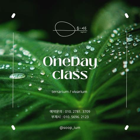 Instagram Video By 숲이음 비바리움 테라리움 공방 L 클래스 • Oct 10 2024 At 438 Am
