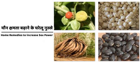 यन कषमत बढन क घरल नसख Home Remedies to increase Sex Power Daily Good News