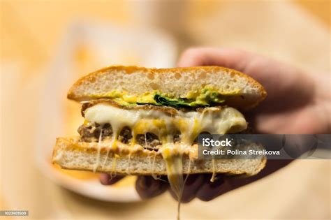 건강에 해로운 음식 고 지방 및 탄수화물 햄버거는 손에 건강하지 못한 생활방식에 대한 스톡 사진 및 기타 이미지 건강하지 못한 생활방식 건강한 생활방식 건강한 식생활