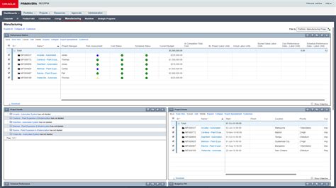 Oracle Primavera P6 Enterprise Project Portfolio Management Full Use