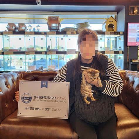 코리안숏헤어 망고 폼스키크기 폼치크기 폼피츠크기 푸숑크기 노르웨이숲크기 데본렉스크기 뱅갈크기 샴크기 셀커크렉스크기 스핑크스크기 아메리칸숏헤어크기 아메리칸컬크기 아비시니안크기