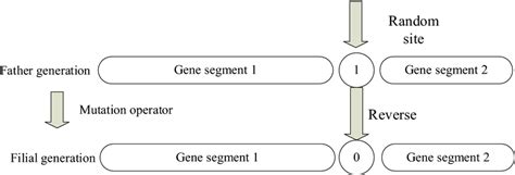 flowchart of mutation operation download scientific diagram