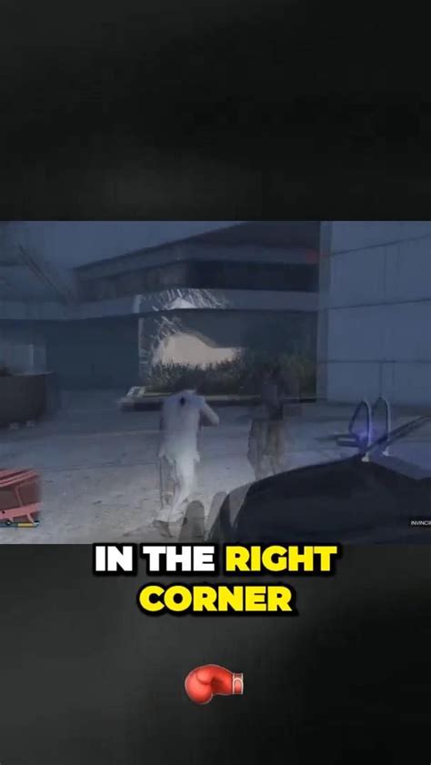 [video] Uncovering The Insane Invincibility Cheat In Gta 5 What You Didnt Know