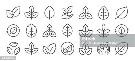 자연 비건 유기농 및 건강 관련 편집 가능한 획 윤곽선 아이콘은 흰색 배경 평면 벡터 그림에 분리되어 있습니다 완벽한 픽셀 64 엑스 64 박하 요리에 대한 스톡 벡터 아트