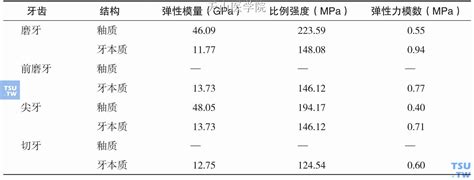 【附图】牙釉质及牙本质的弹性力模数 口腔医学 天山医学院
