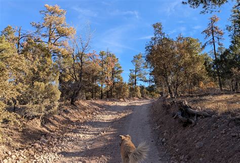 Meadow Creek Road Camping Hanover New Mexico