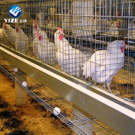 Poultry Farm House Design Chicken House Designed For Layer Egg Chicken