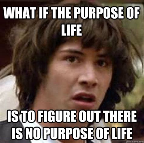 What If The Purpose Of Life Is To Figure Out There Is No Purpose Of