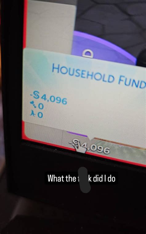 Integer Overflow Rthesims4mods