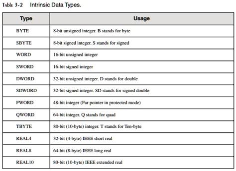 Table 3 2 Intrinsic Data Types Type Usage Byte 8 Bit Unsigned Integer