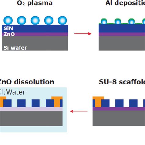 Ultrathin Nanoporous Membrane Fabrication Process Download Scientific Diagram