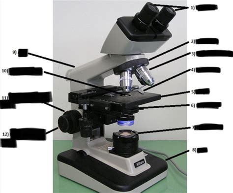 Lab Practical One Microscope Flashcards Quizlet