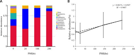 Succession Of Oral Microbiota Community As A Tool To Estimate