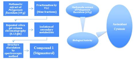 Extraction And Isolation Download Scientific Diagram
