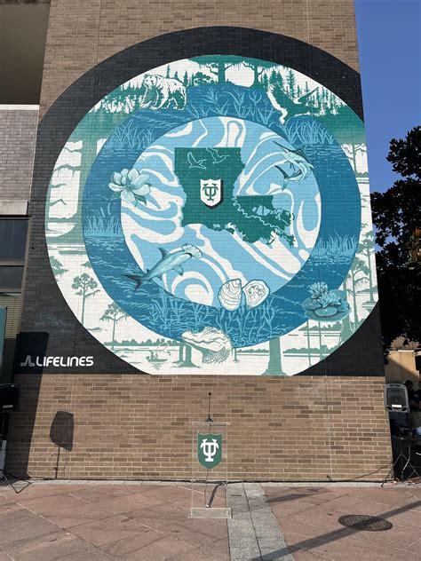 Kyle Huber On Linkedin Rollwave