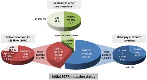 Comparison Of Egfr Mutation Status At Initial Biopsy And Rebiopsy